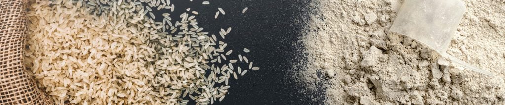 ? TOP 10 Rice Protein Powders (2020 Guide)
